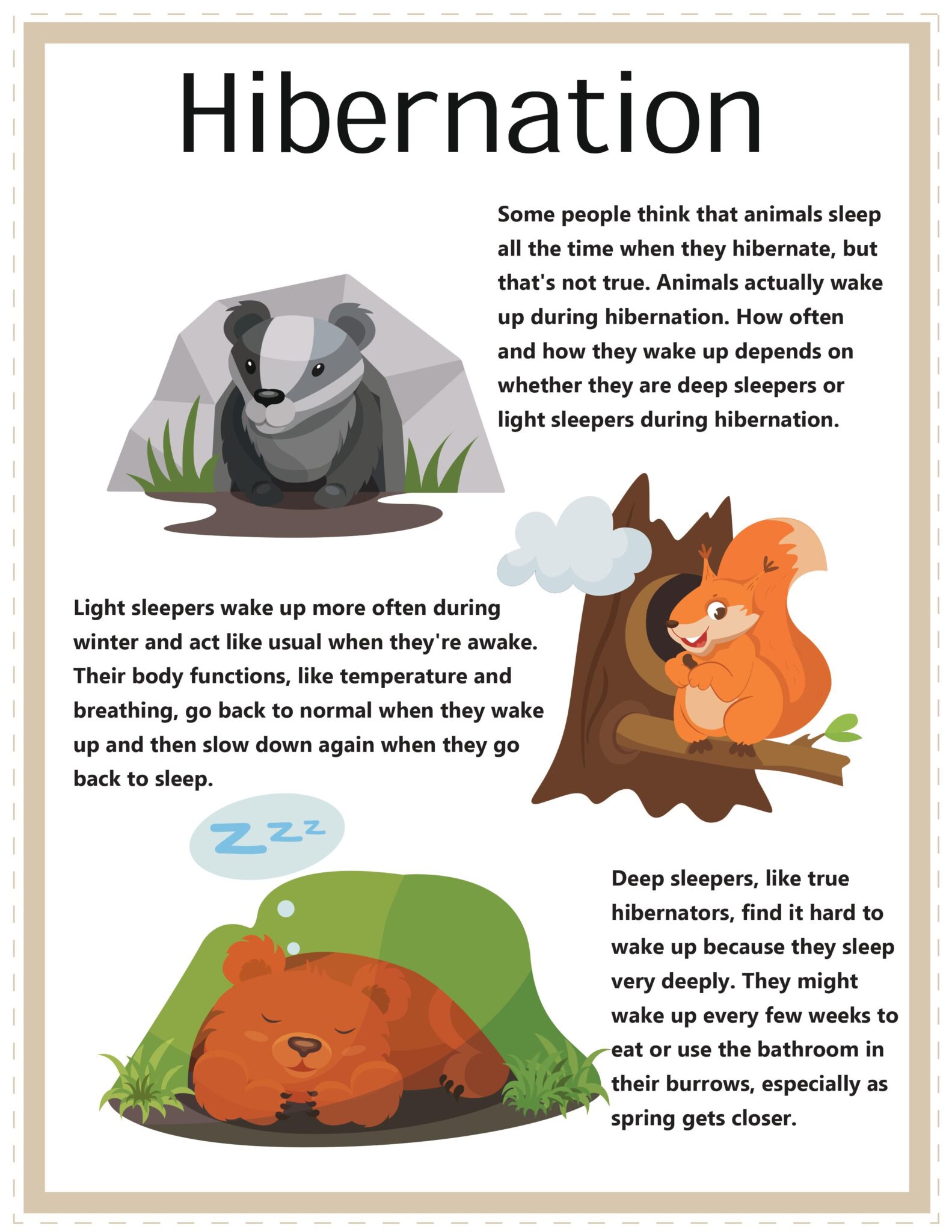 Free Hibernating Animals Worksheets and Activities for Kids