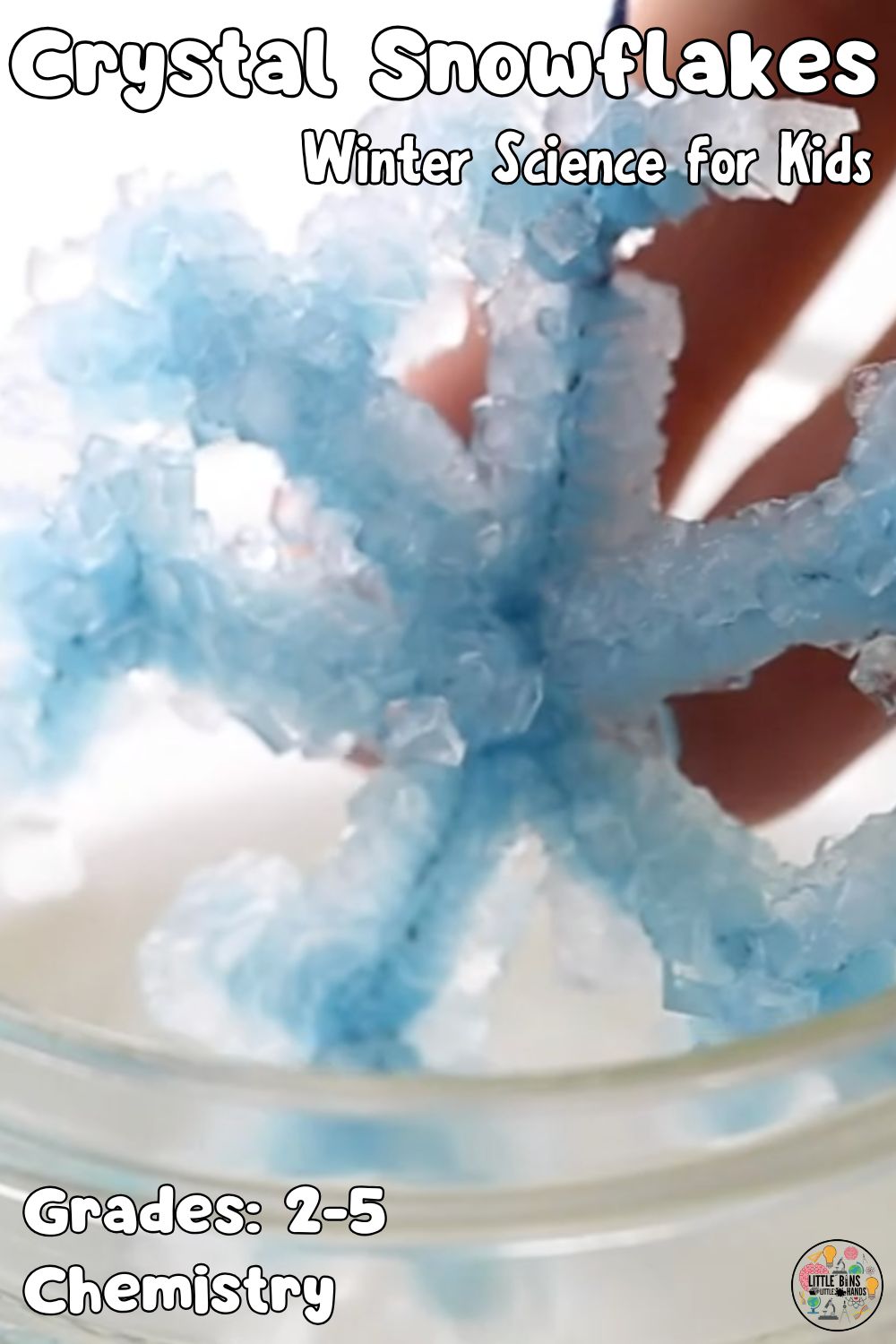 Crystal Snowflake Ornaments (Borax Crystal Snowflakes Science)