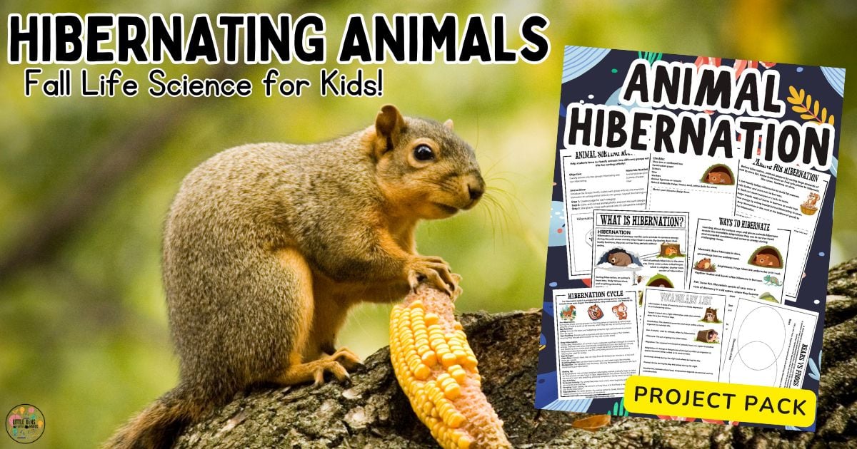 Free Hibernating Animals Worksheets and Activities for Kids