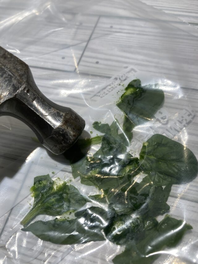 Glowing Spinach Experiment - Little Bins for Little Hands