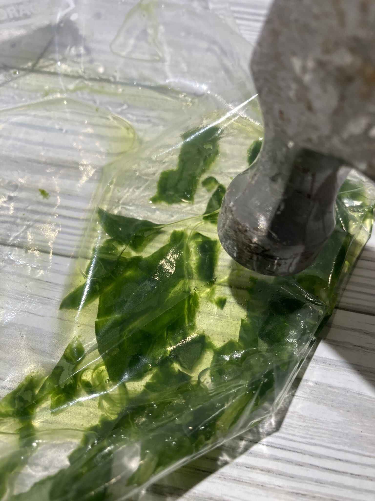 Glowing Spinach Experiment - Little Bins for Little Hands