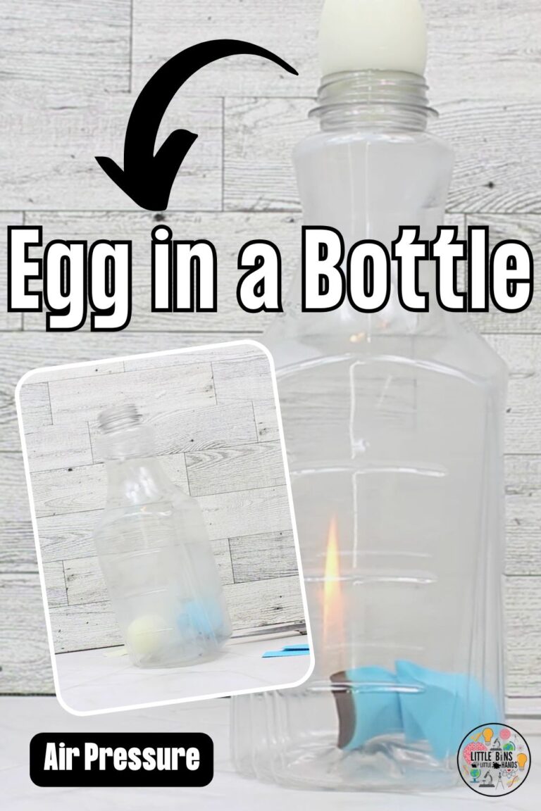 Egg in a Bottle Experiment