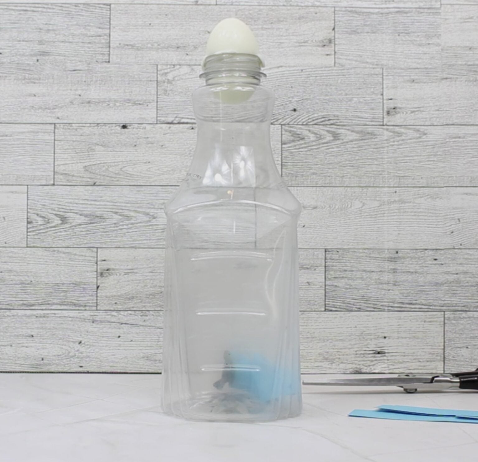 Egg Science Experiments for Kids (10 STEM Activities Using Eggs)