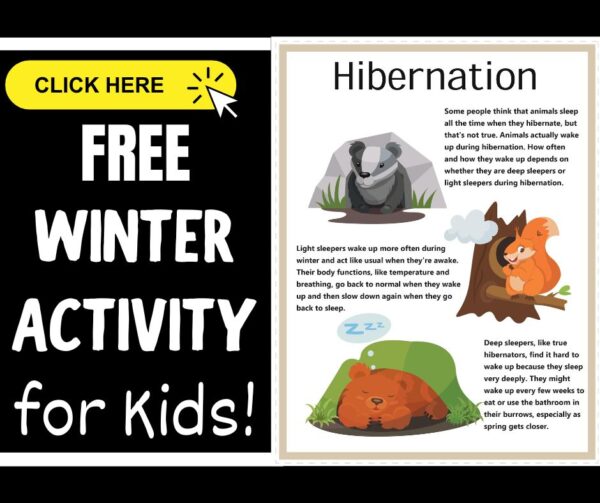 Free Hibernating Animals Worksheets and Activities for Kids