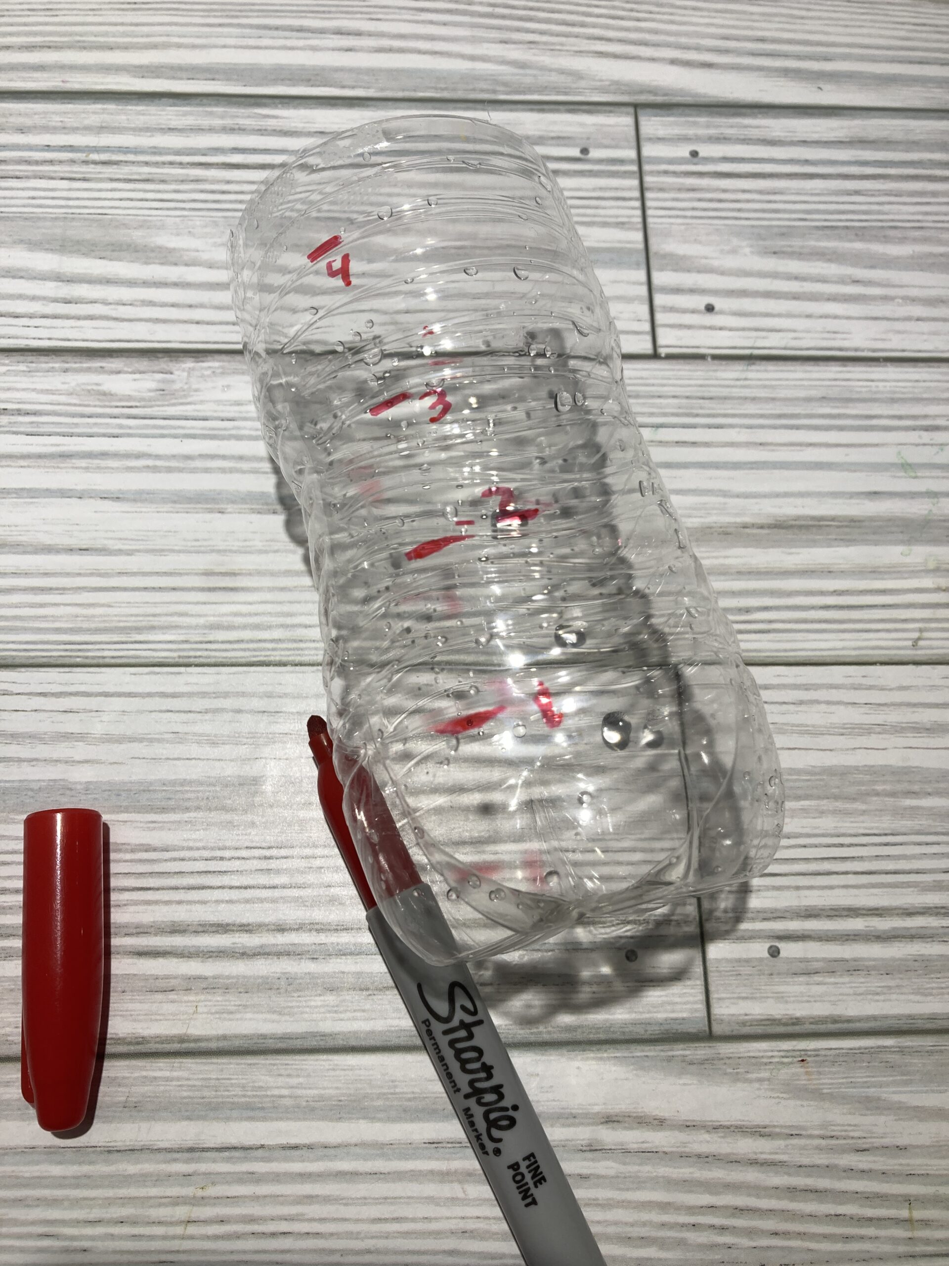 DIY Rain Gauge - Little Bins for Little Hands