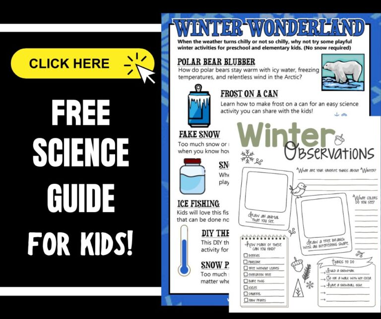 Winter Science Experiments For Kids | Little Bins for Little Hands