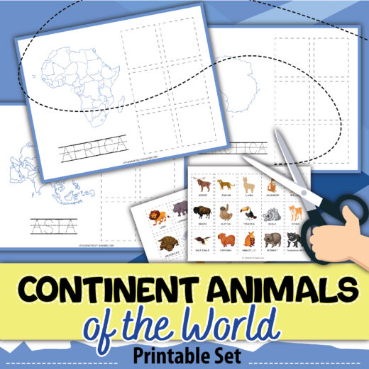 Animal Migration Activities - Little Bins for Little Hands