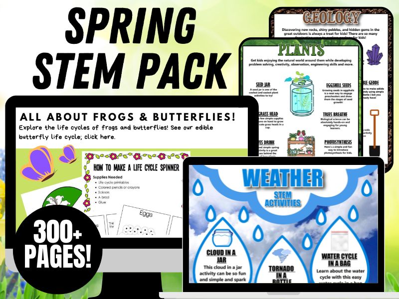 Parts of a Plant Activity - Little Bins for Little Hands