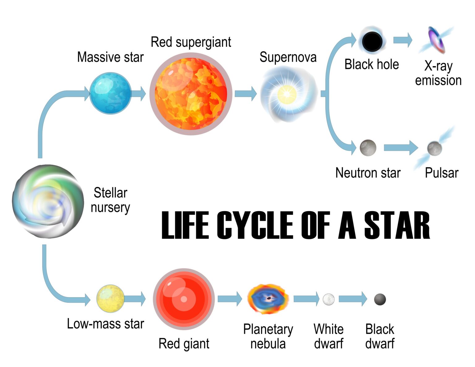 Life Cycle of a Star - Little Bins for Little Hands
