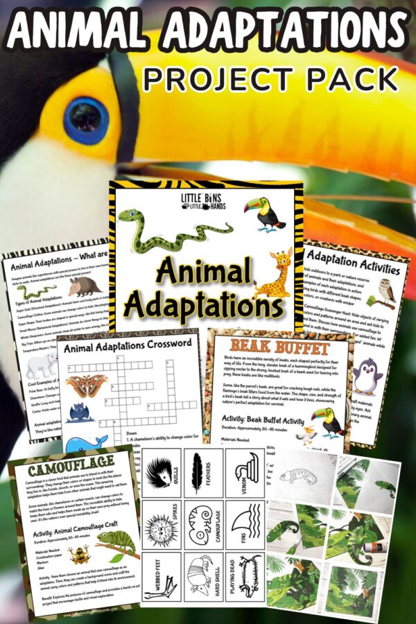 Animal Adaptations Activities - Little Bins for Little Hands