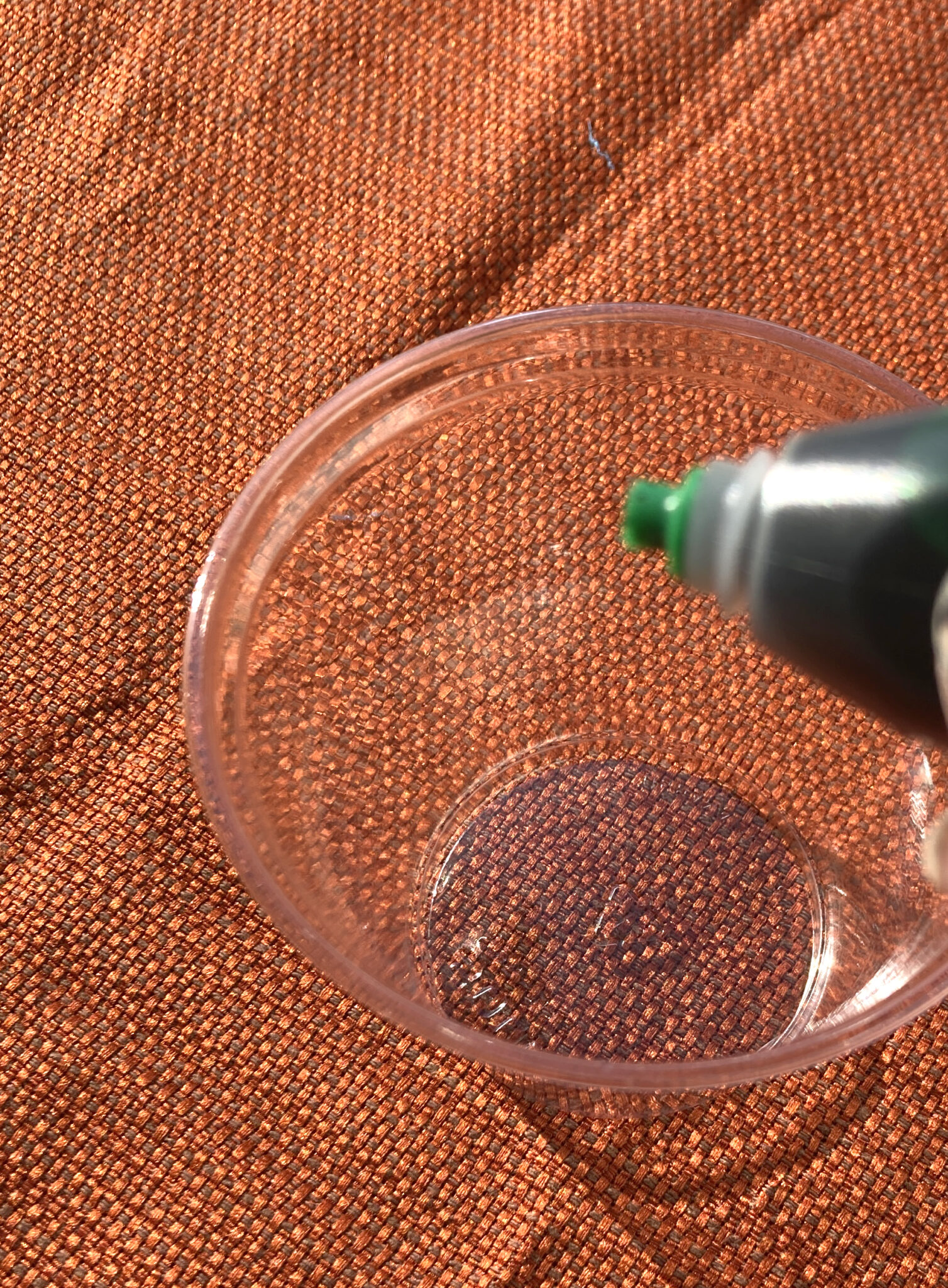 Does Color Affect Taste Science Project - Little Bins for Little Hands