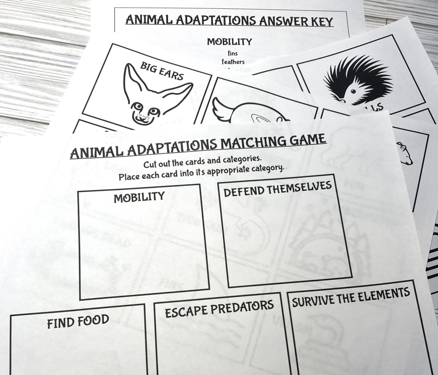 Animal Adaptations Activities - Little Bins for Little Hands