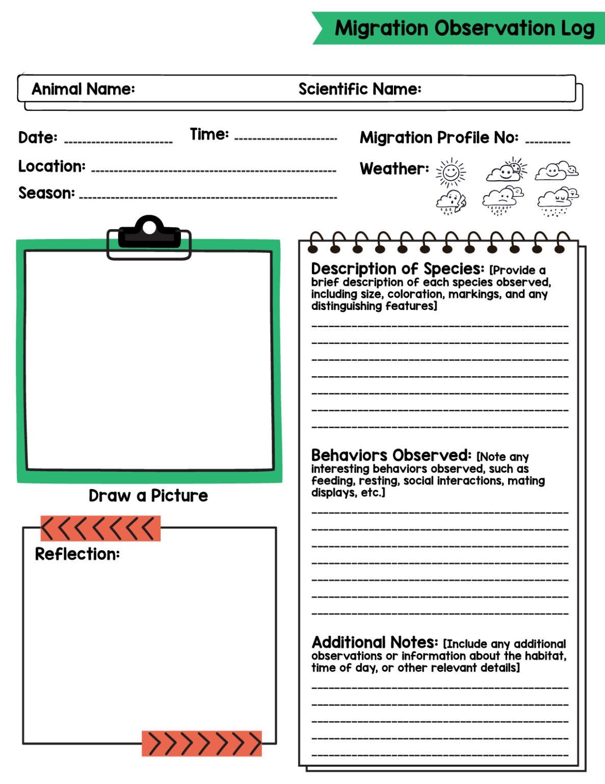 Animal Migration Activities - Little Bins for Little Hands