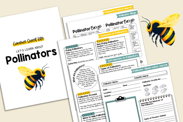Pollinator Activity Guide - Little Bins for Little Hands