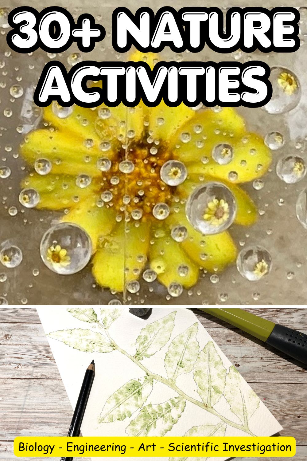 40 Outdoor Nature Activities for Kids (Science, STEM & Art)