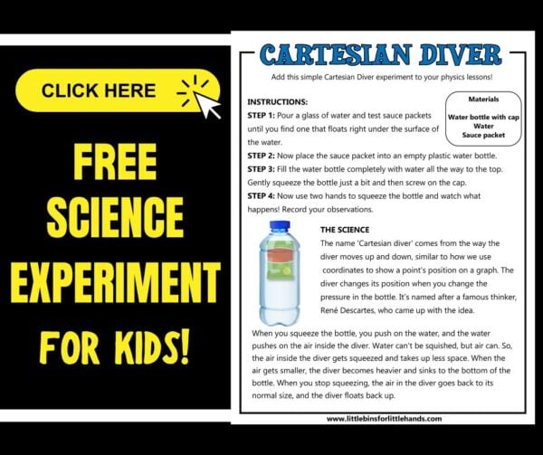 Cartesian Diver Experiment for Kids Physics Projects