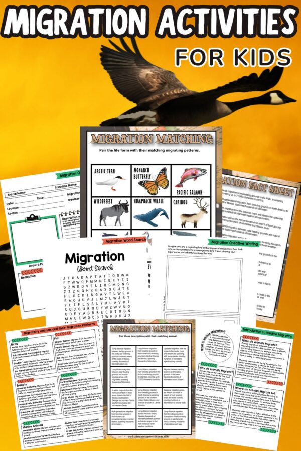 Animal Migration Activities - Little Bins for Little Hands