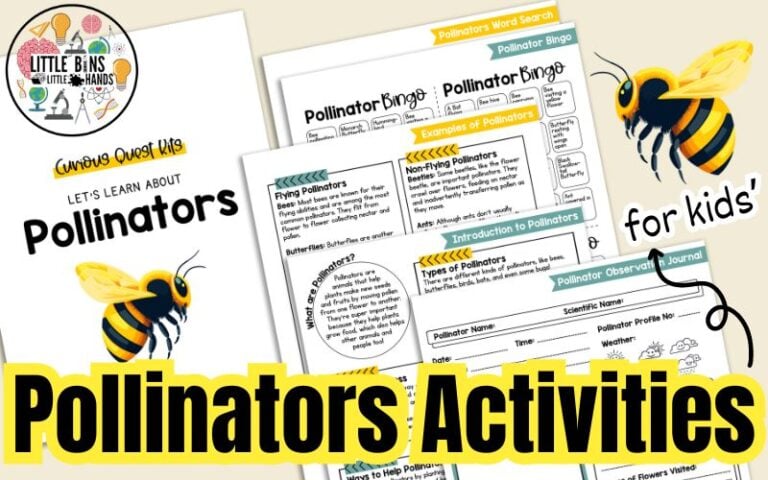 Pollinator Activity Guide - Little Bins for Little Hands