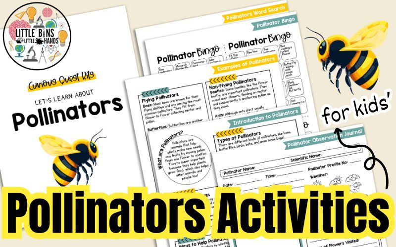 Pollinator Activity Guide - Little Bins for Little Hands