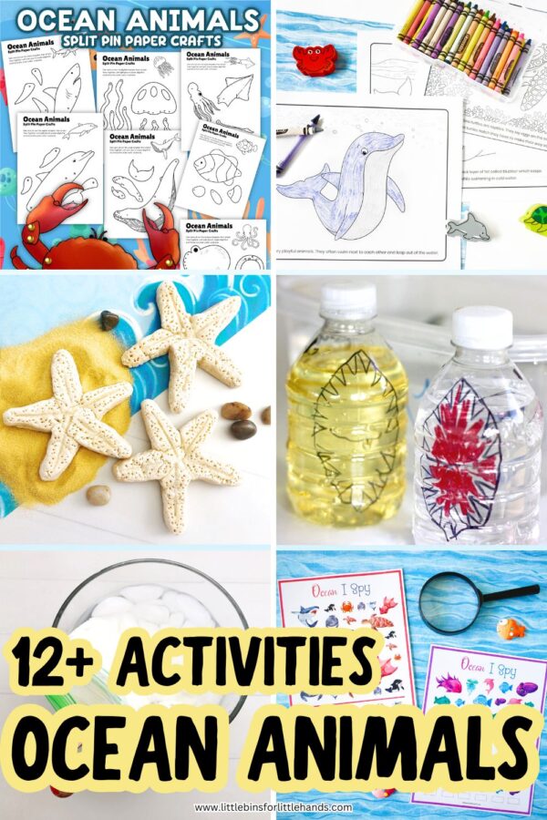 Ocean Animals For Kids - Little Bins for Little Hands