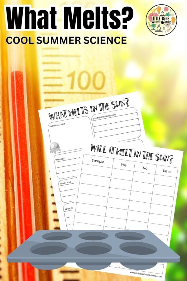 What Melts? A Fun Summer Science Experiment for Kids - Little Bins for ...