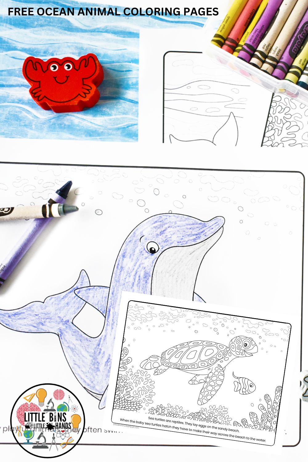 Ocean Animals Coloring Pages (Free Printable) - Little Bins for Little ...