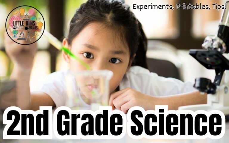 Awesome Science Activities For 2nd Grade - Little Bins for Little Hands