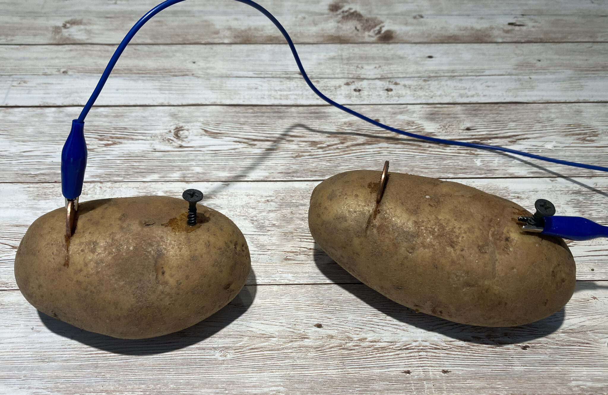 Potato Light Bulb Experiment - Little Bins for Little Hands