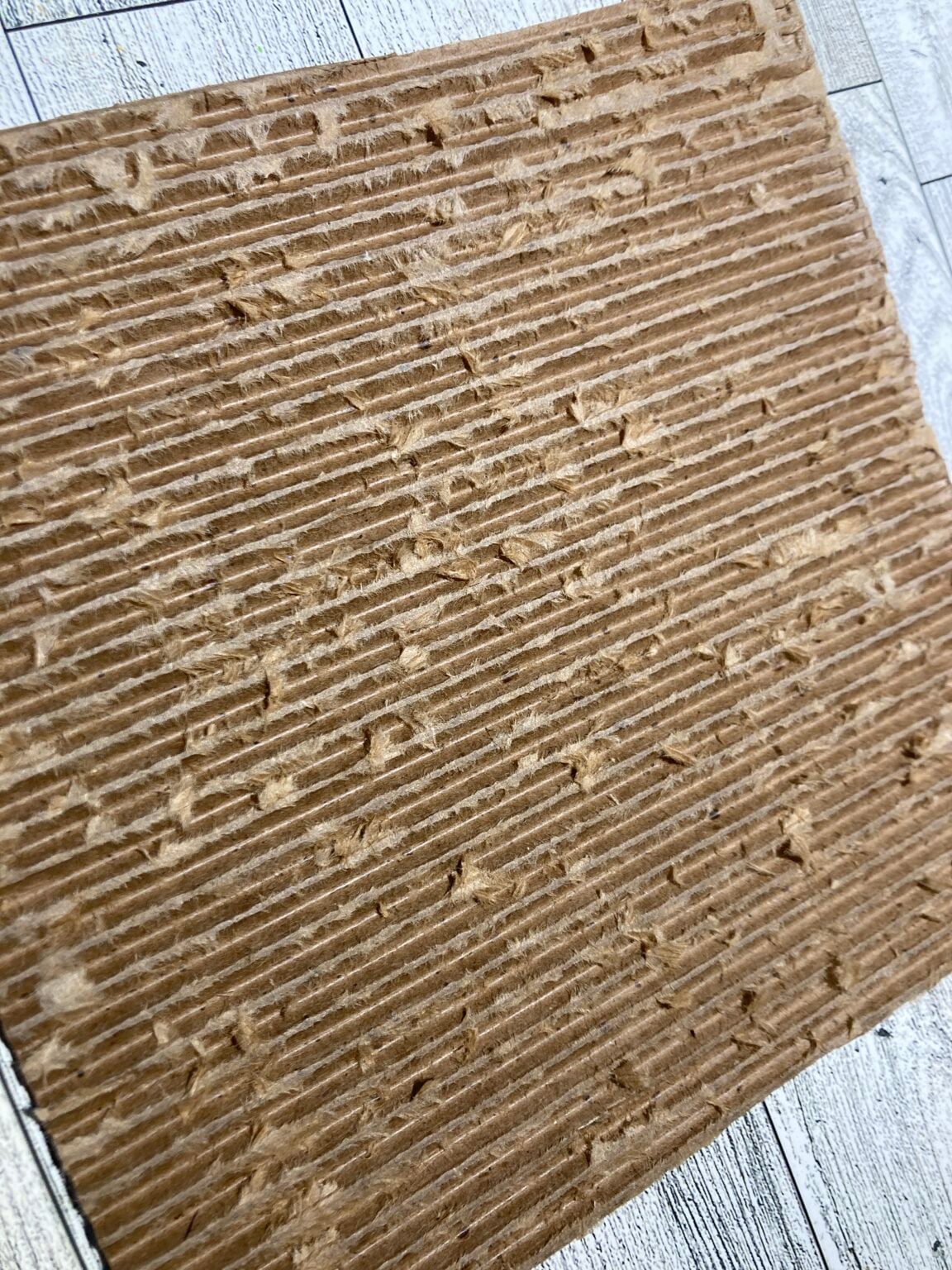 Cardboard Texture Art For Kids - Little Bins for Little Hands