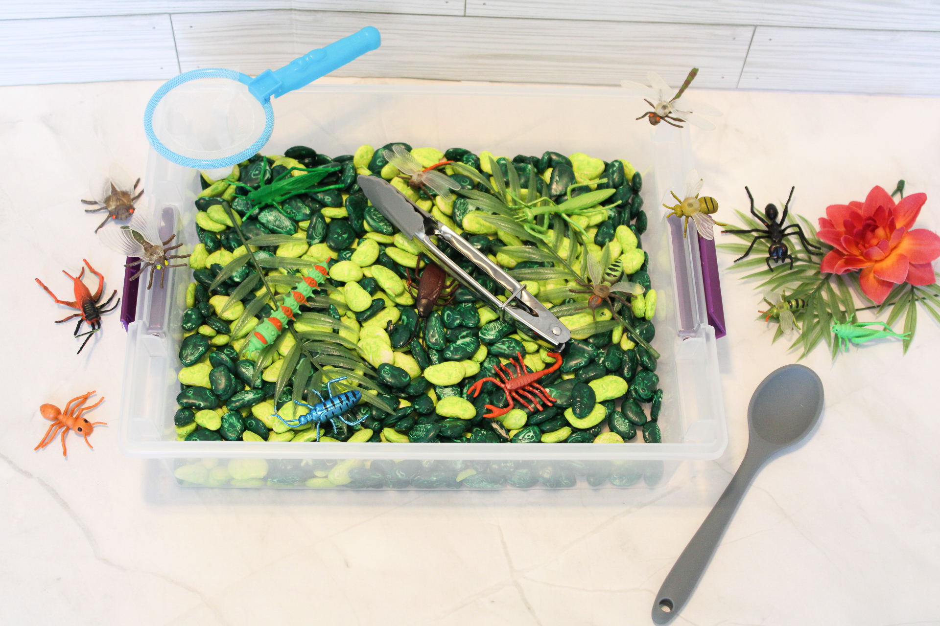 How to Dye Beans For Sensory Play - Little Bins for Little Hands