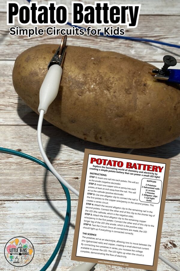 Potato Light Bulb Experiment - Little Bins for Little Hands