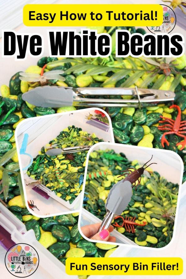 How to Dye Beans For Sensory Play - Little Bins for Little Hands