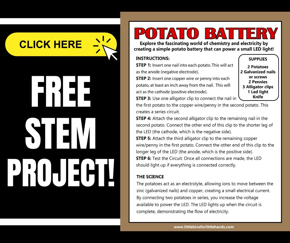 Potato Light Bulb Experiment - Little Bins for Little Hands