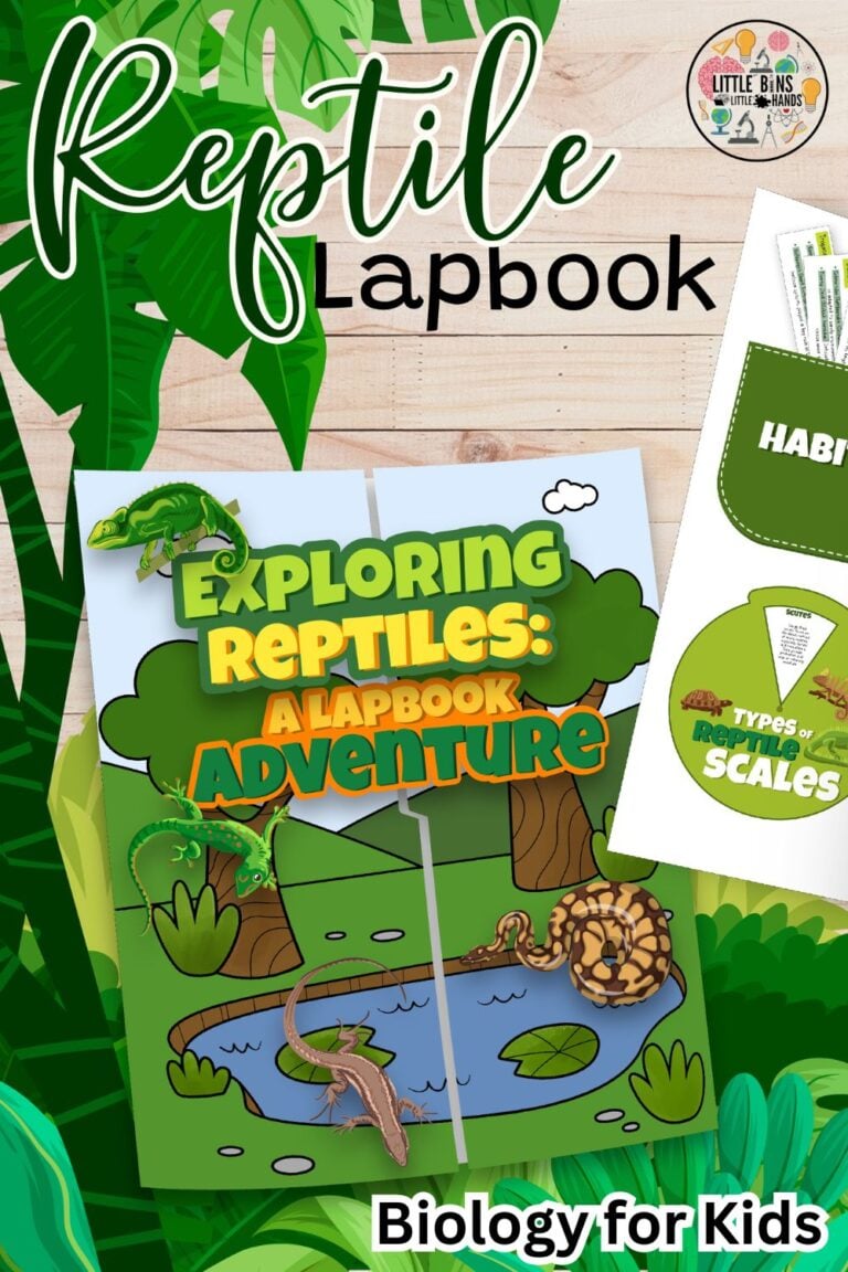 Reptile Worksheets and Lapbook Activity - Little Bins for Little Hands