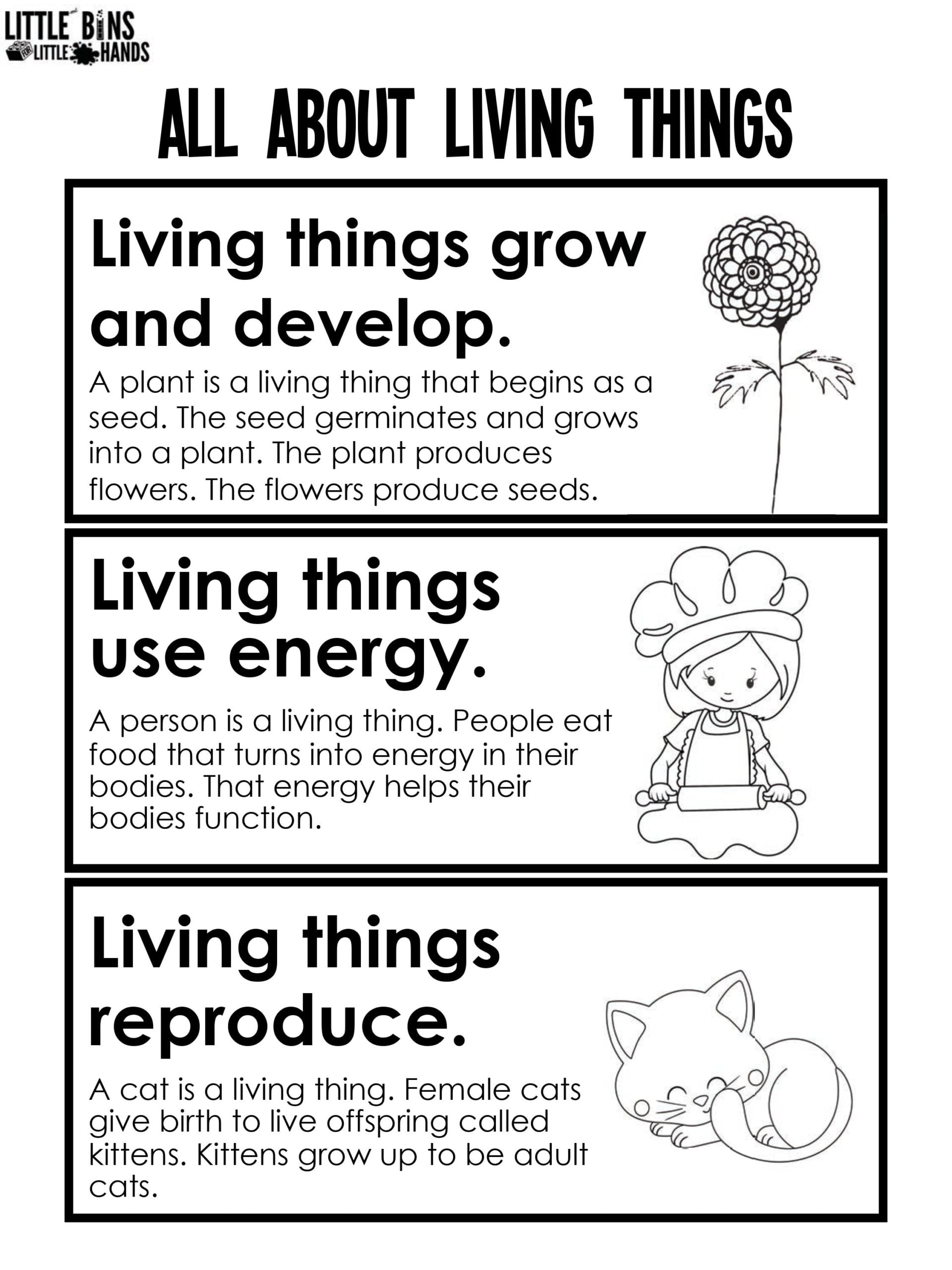 Living and Non-Living Things (Free Worksheets) - Little Bins for Little ...