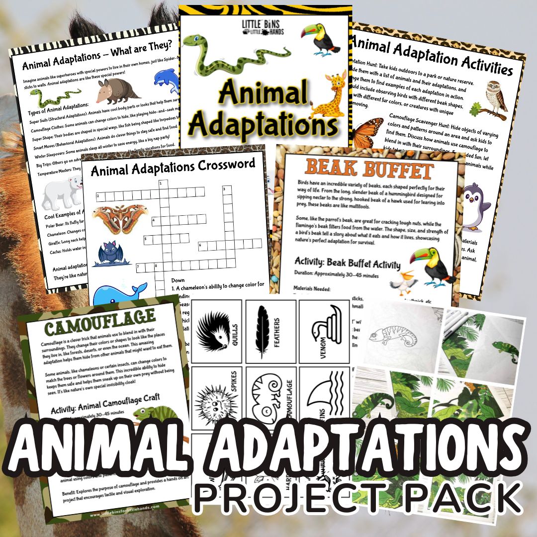 Animal Classification Activities - Little Bins for Little Hands