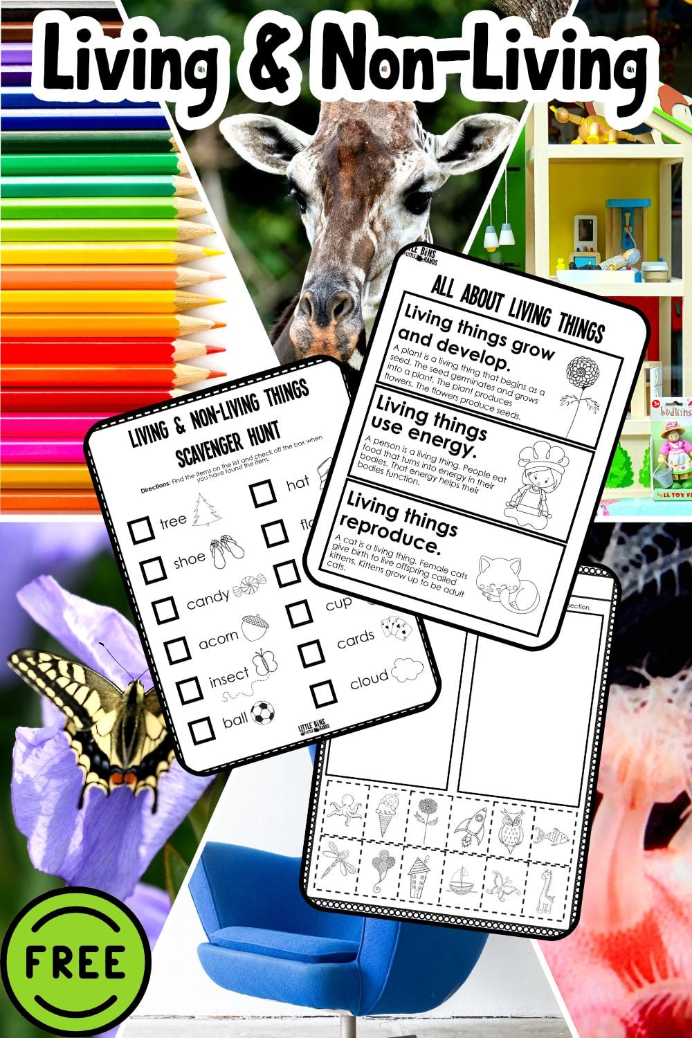 Living and Non-Living Things (Free Worksheets) - Little Bins for Little ...