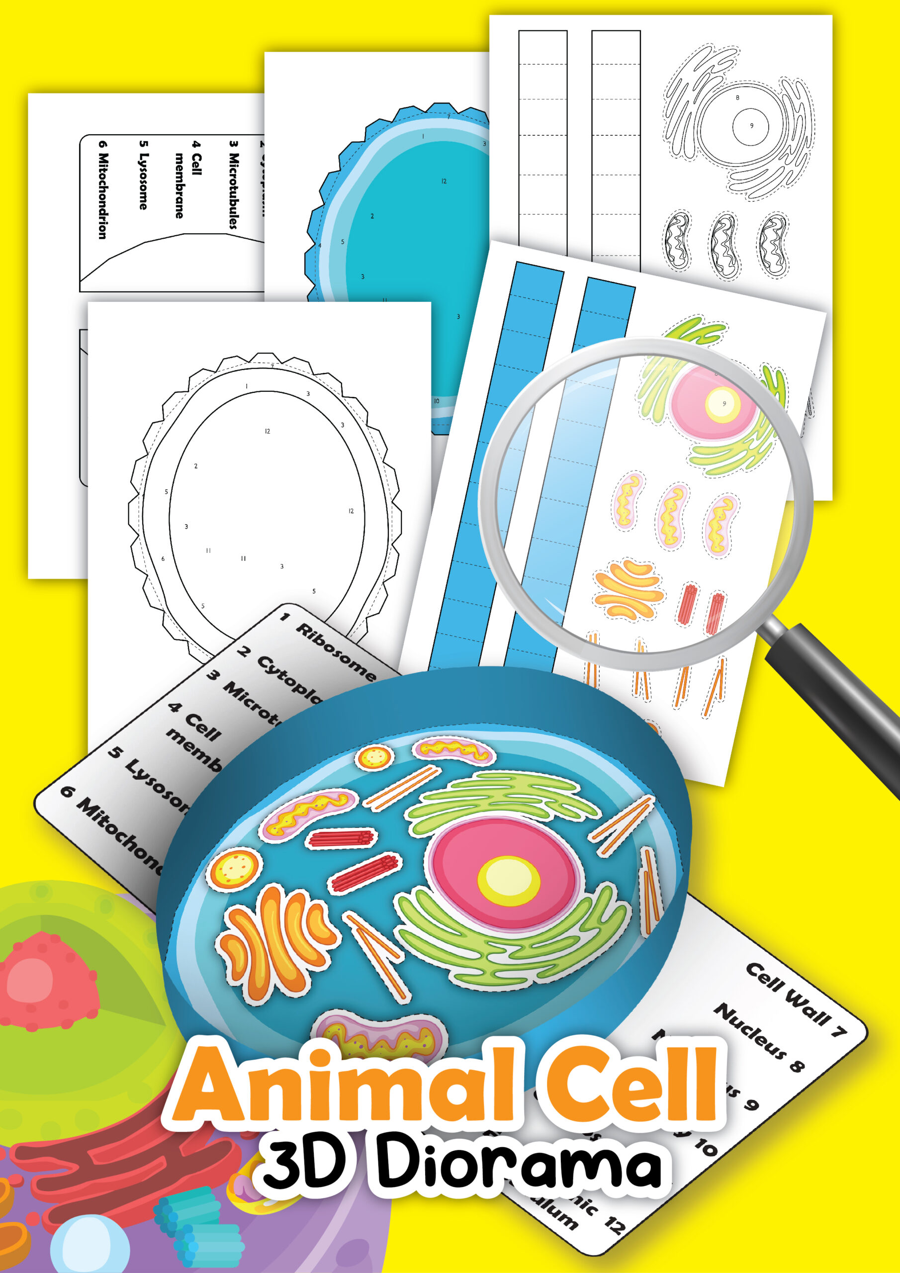 Animal Cell Diorama (Free Printable) - Little Bins for Little Hands