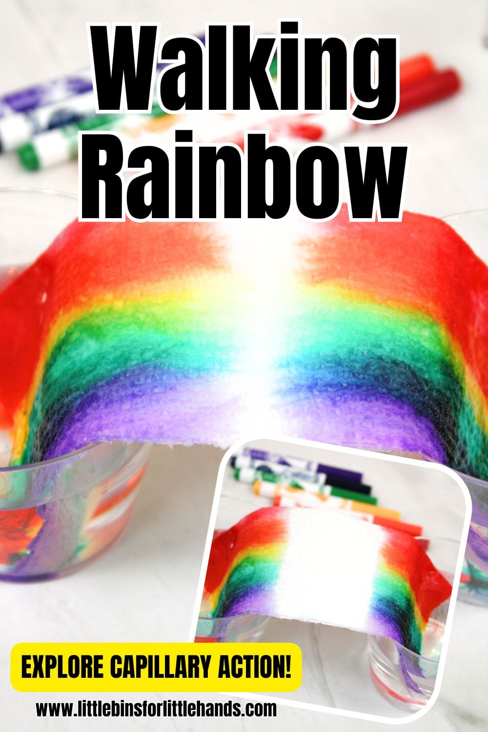 Grow A Rainbow Experiment - Little Bins for Little Hands
