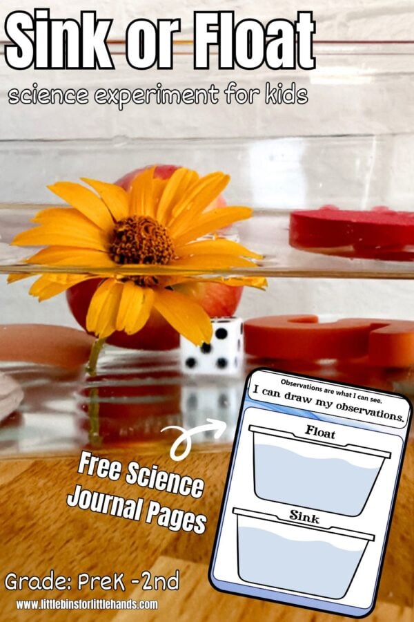 Easy Sink or Float Experiment For Kids - Little Bins for Little Hands