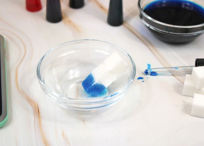 Sugar Cube Experiment (Absorption and Dissolving)