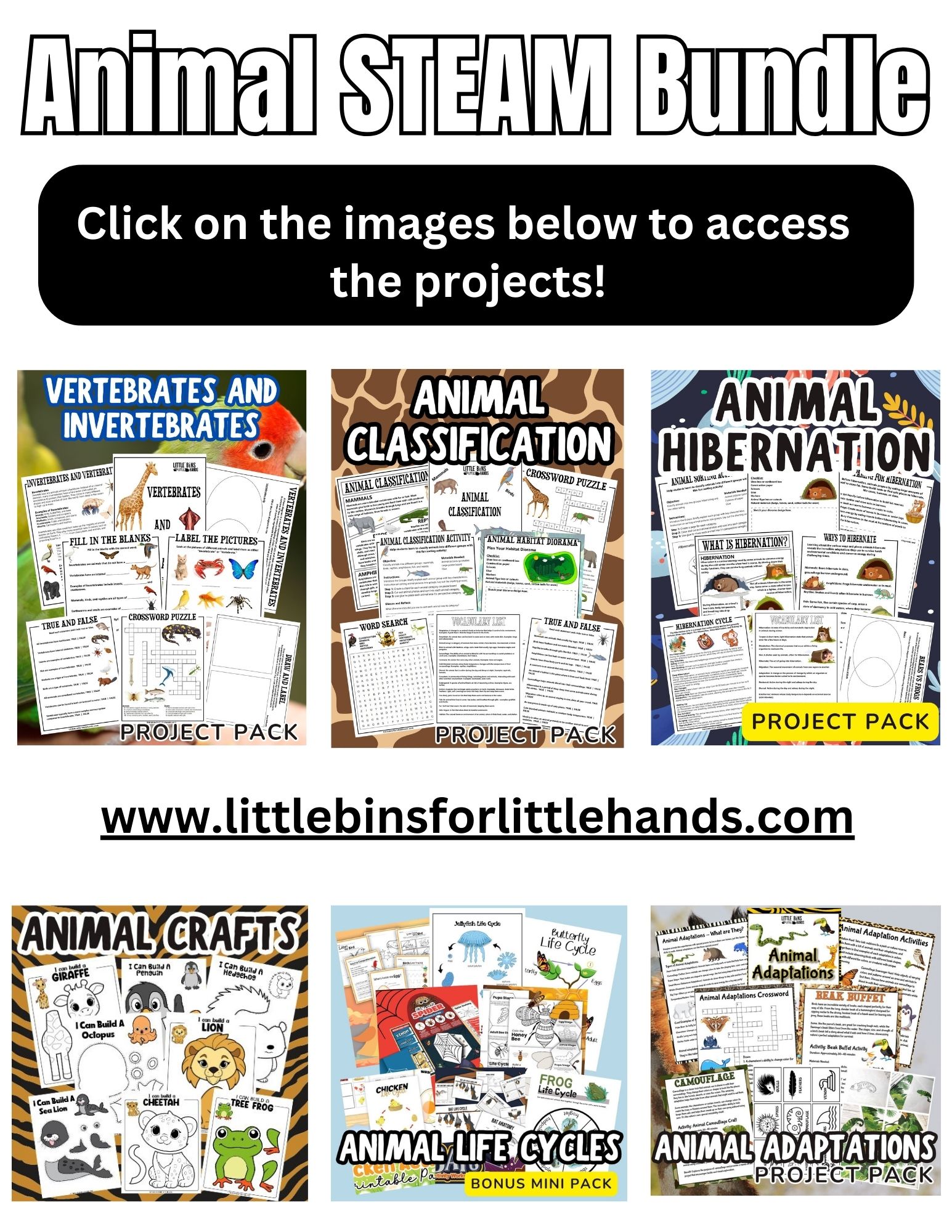 Plant and Animal Needs Worksheets