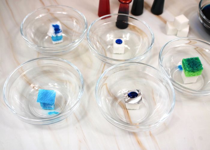 Sugar Cube Experiment (Absorption and Dissolving)