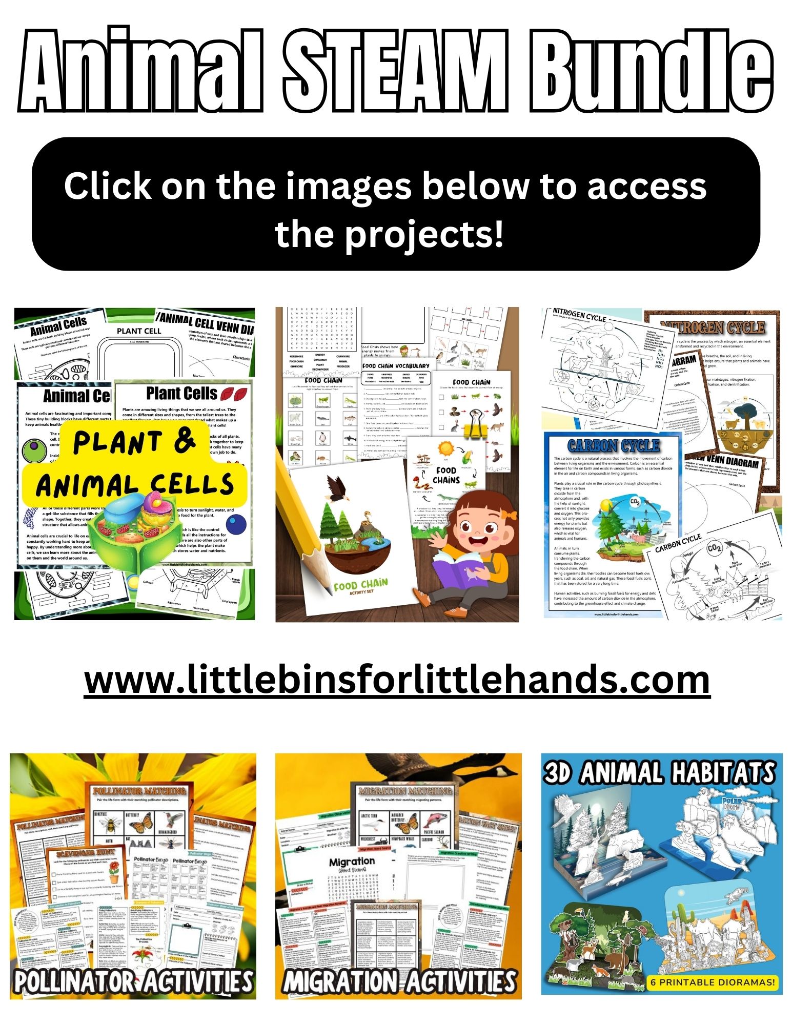 Animal Life Cycles - Little Bins for Little Hands