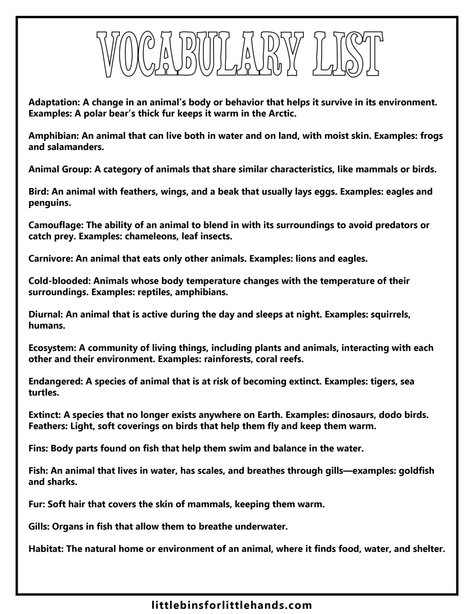 Animal Classification Activities - Little Bins for Little Hands