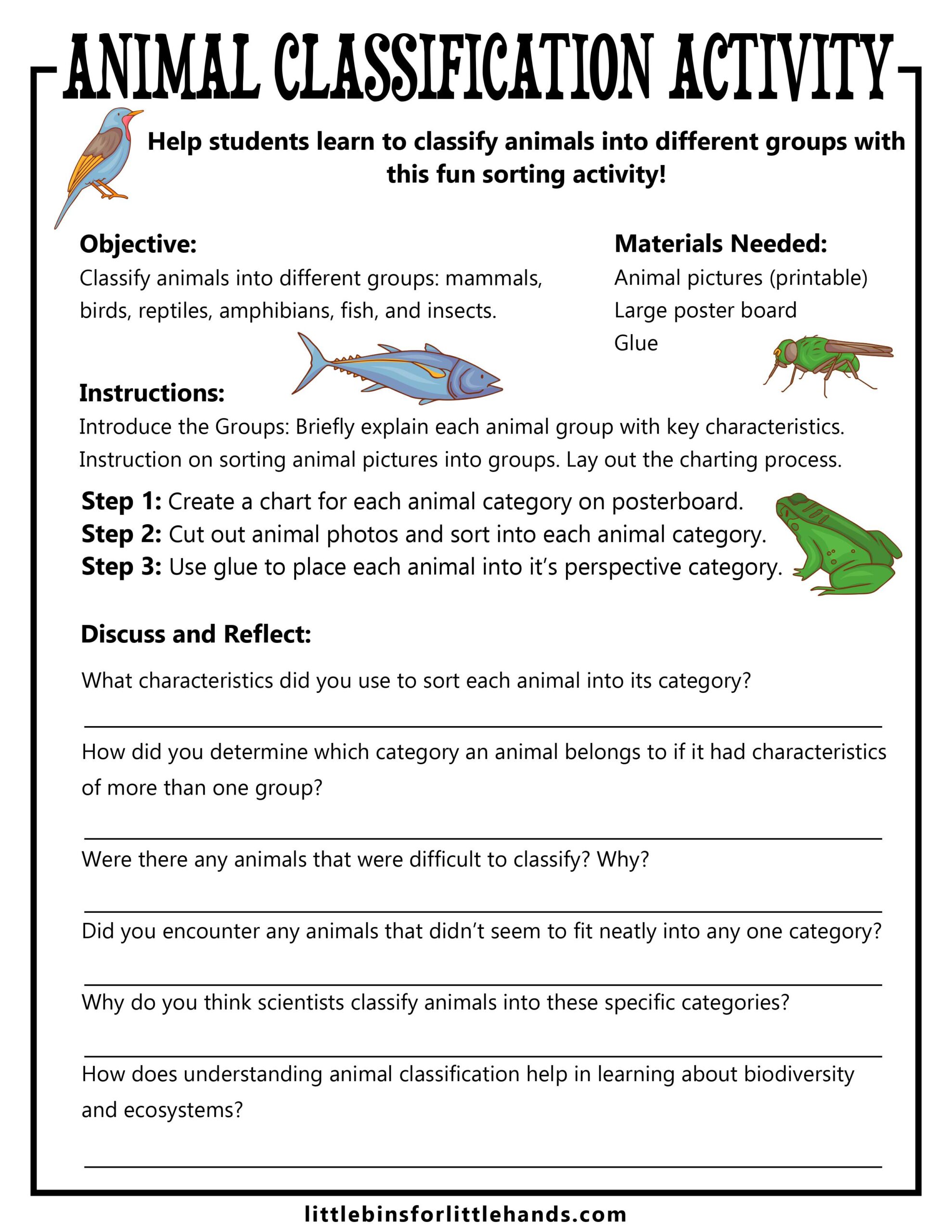 Animal Classification Activities - Little Bins for Little Hands