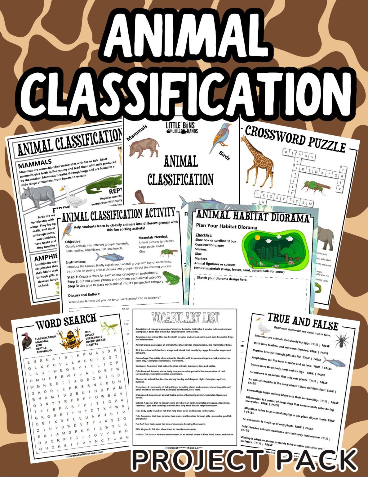 Animal Classification Activities - Little Bins for Little Hands