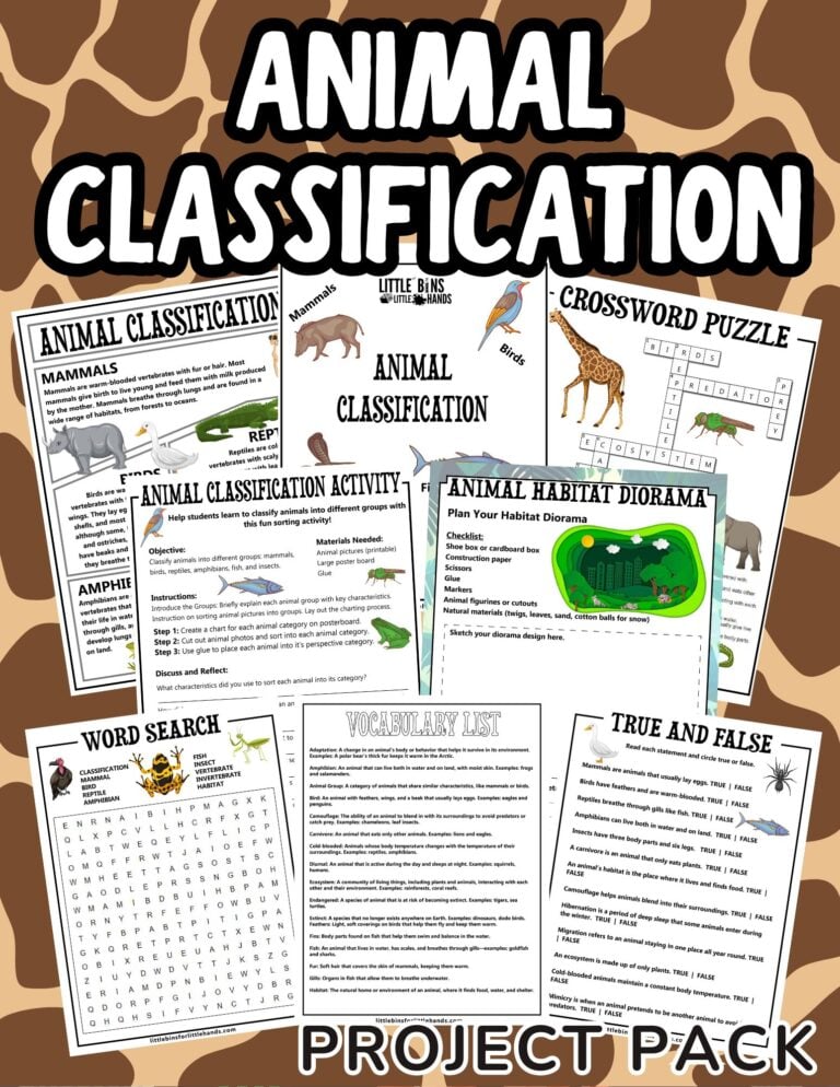 Animal Classification Activities - Little Bins for Little Hands
