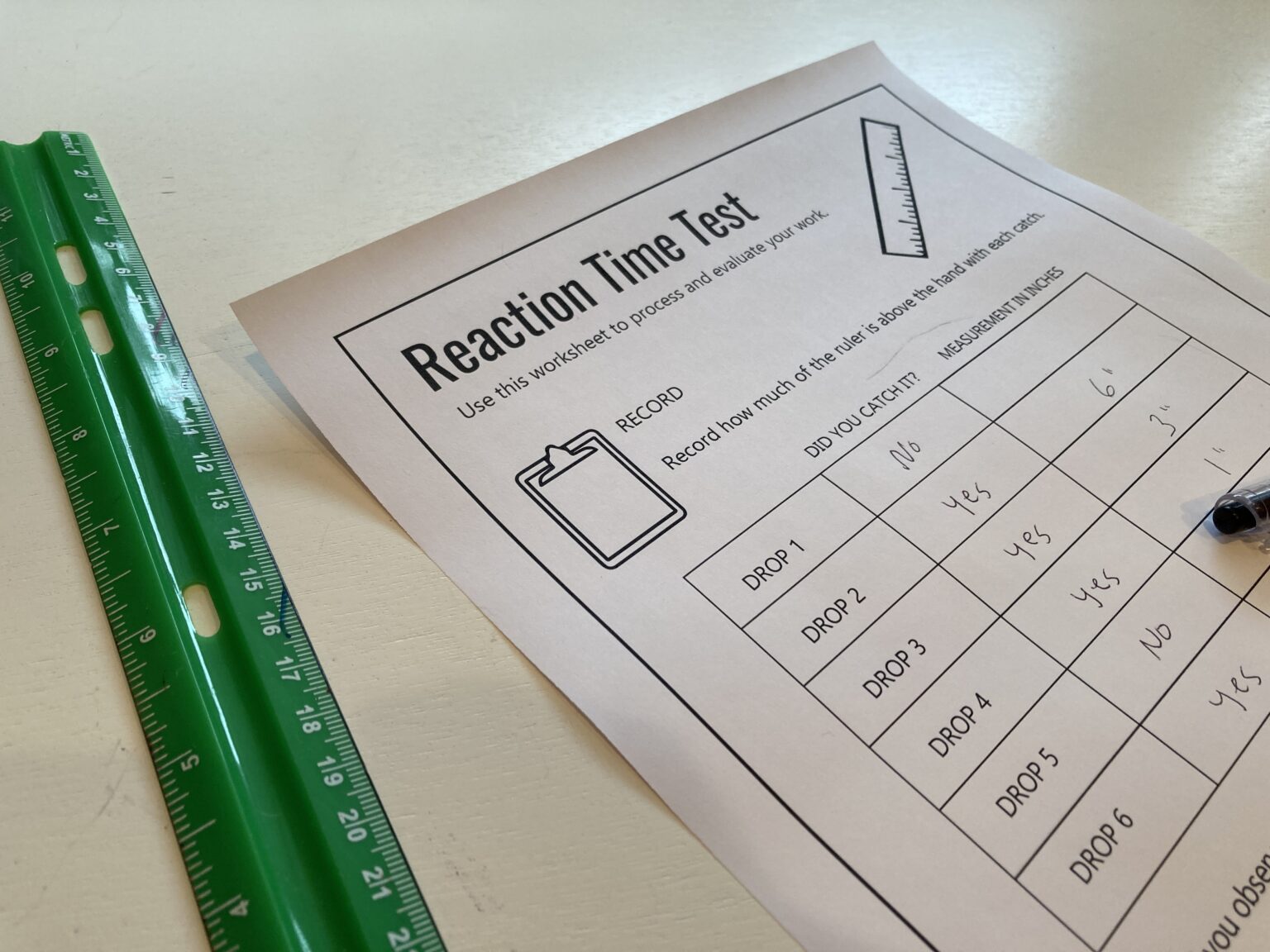 Reaction Time Science Project