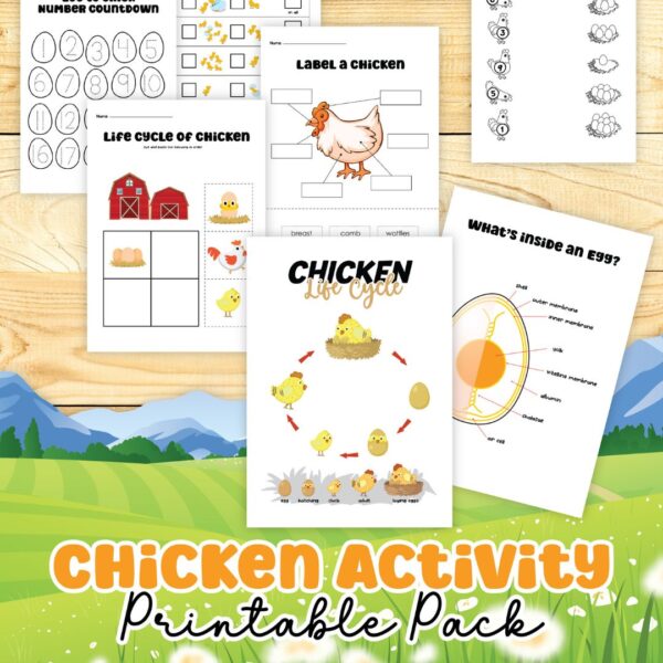 Animal Life Cycles - Little Bins for Little Hands